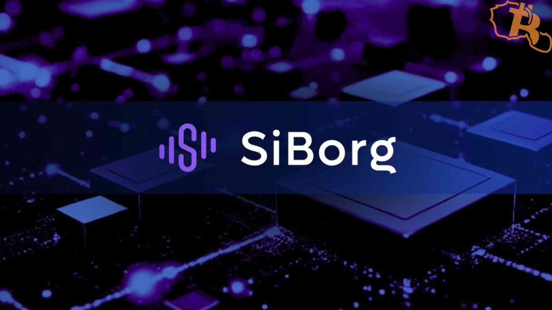 Tokenisation : Siborg propulse la publicité à l'ère Web3 — Tahiti ...